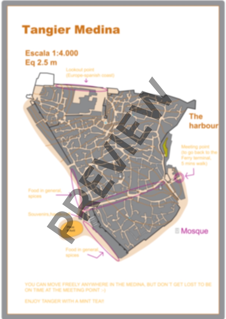 omaps.io - WTM24-03 Tanger Medina map