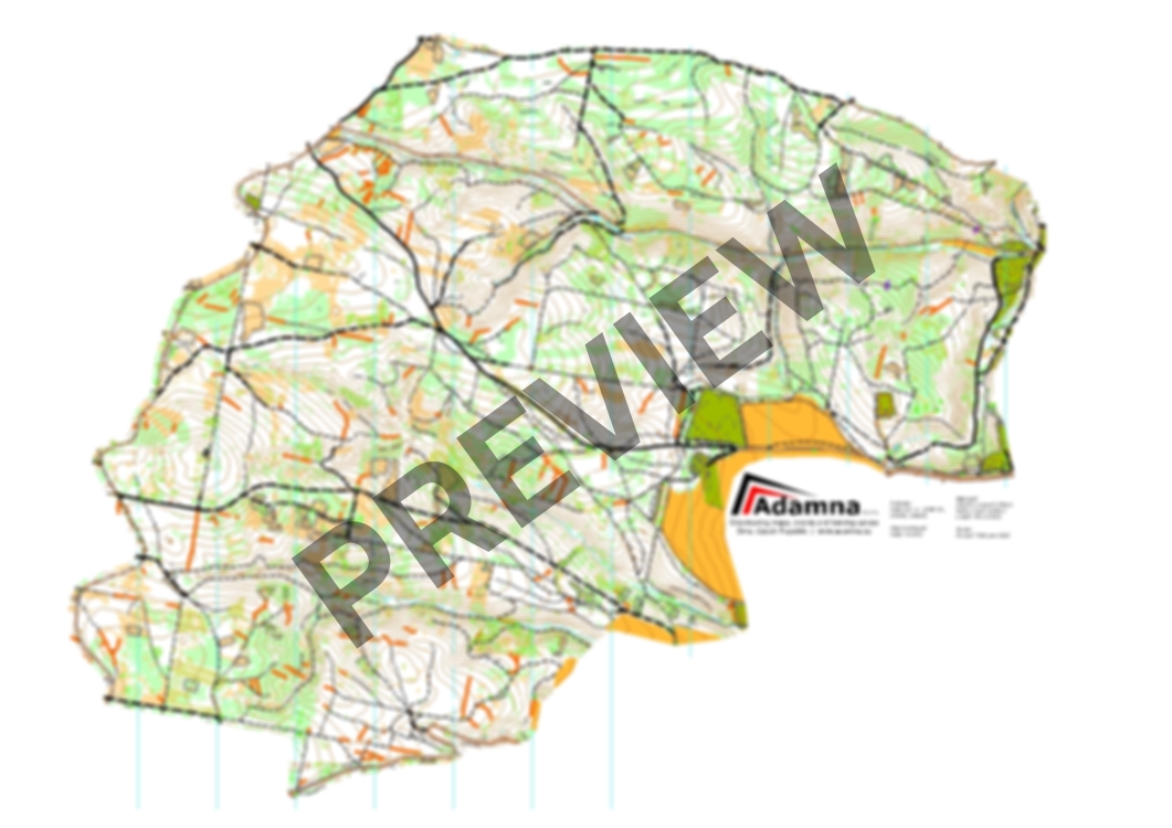 omaps.io - Kriva borovice MTBO (blank map) [2022]
